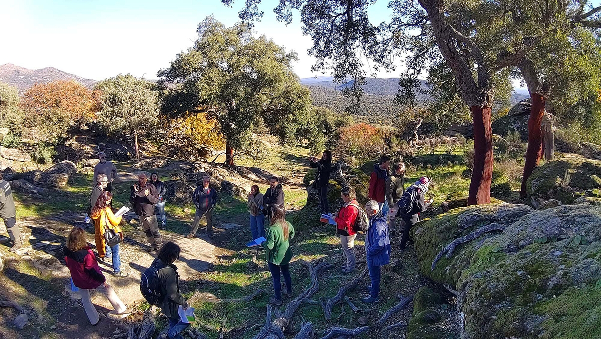 Spain implements national legislation on the conservation of forest ...