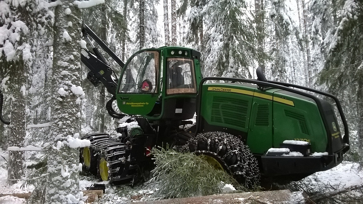 Why active forest management is necessary: EUFORGEN - European forest ...