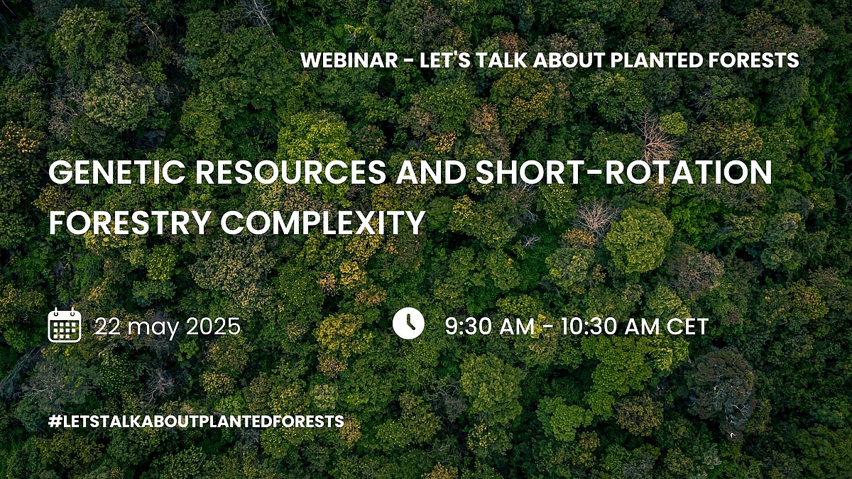 Webinar – Let’s Talk About Planted Forests : EUFORGEN - European forest ...