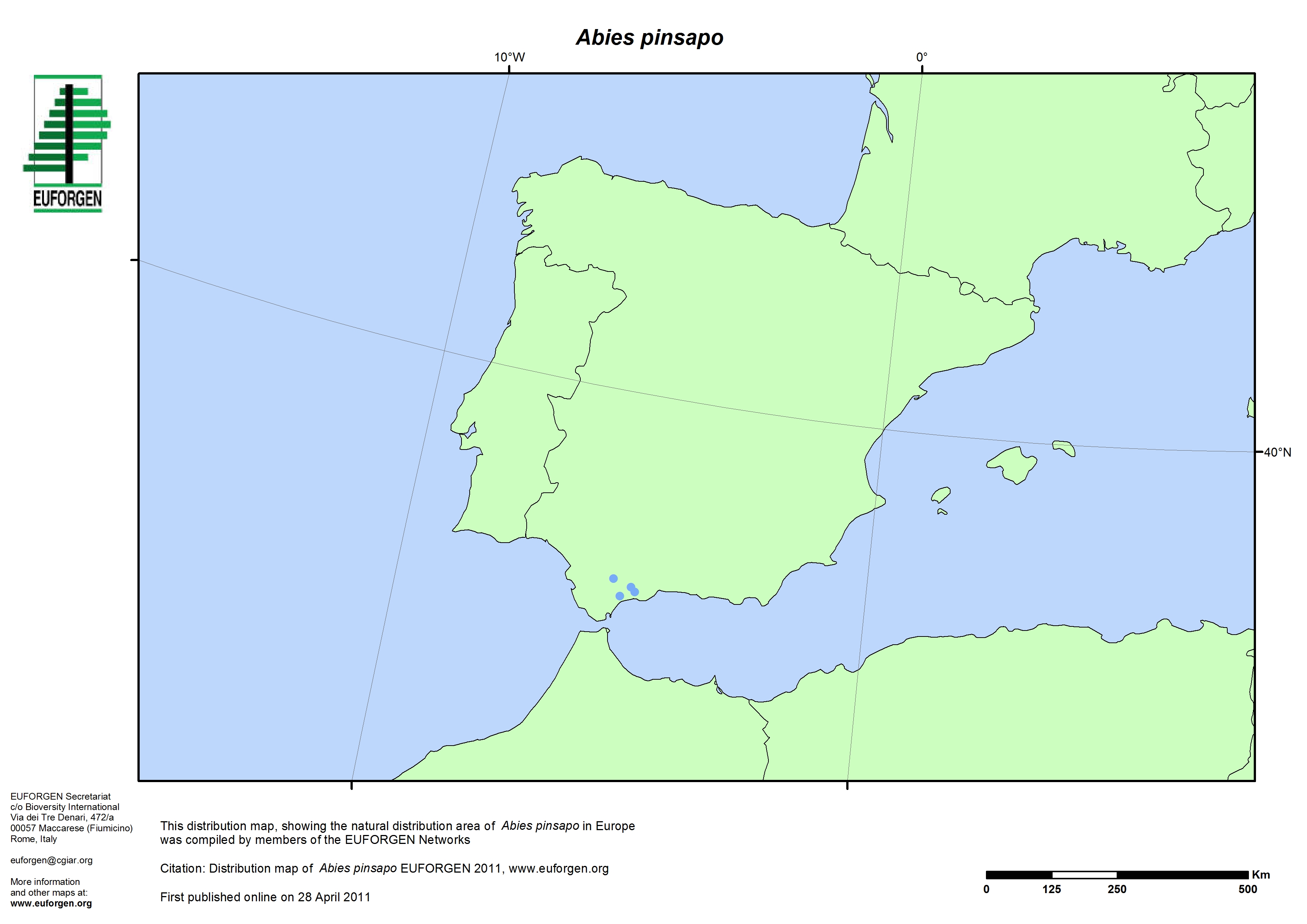 Abies pinsapo - EUFORGEN European forest genetic resources programme