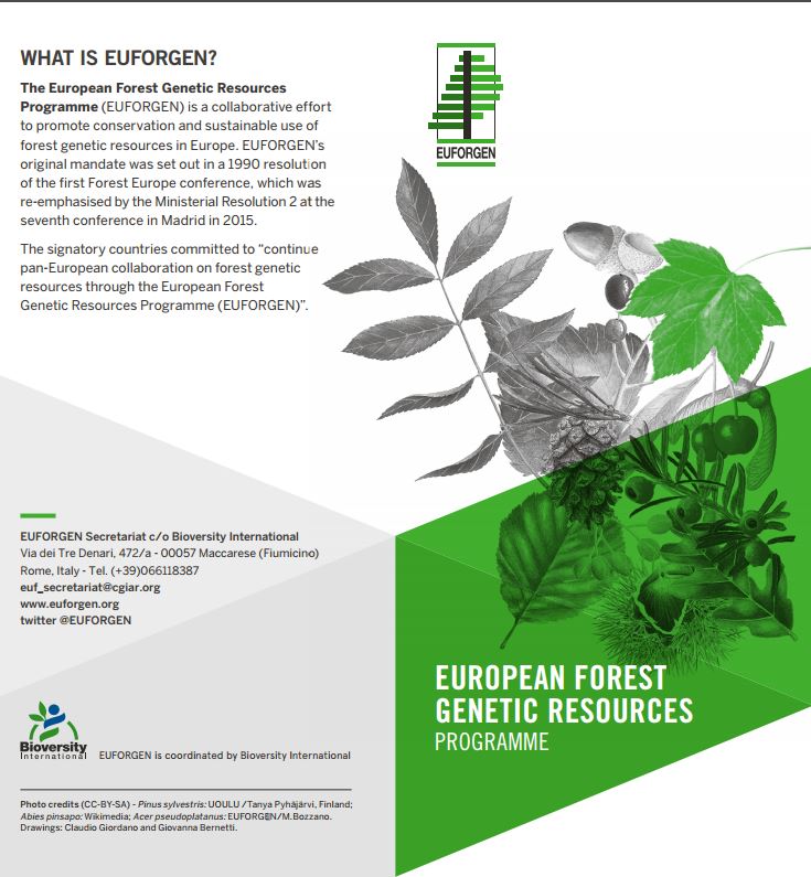 Leaflets and posters - EUFORGEN European forest genetic resources programme